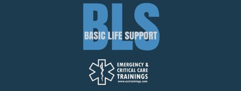 BLS Basic Life Support (CPR para profesionales de la salud) - ECCtrainings